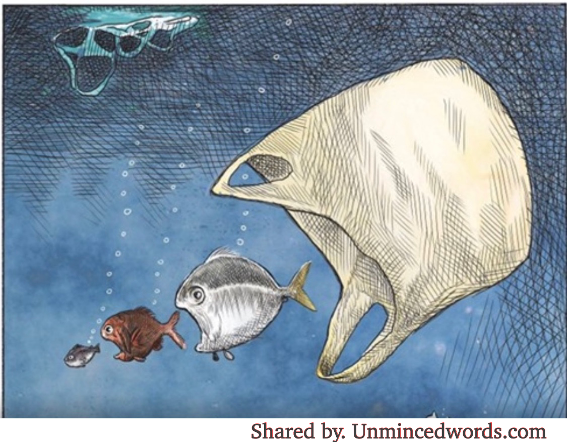 Please tell me this isn’t evolution.– Unminced Words