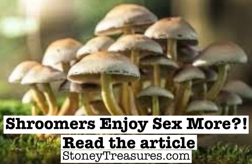 People who shroom enjoy sex more - READ THE ARTICLE– Unminced Words