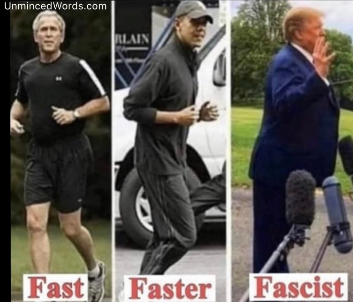 Fast, Faster, Fascist meme is America’s mood– Unminced Words