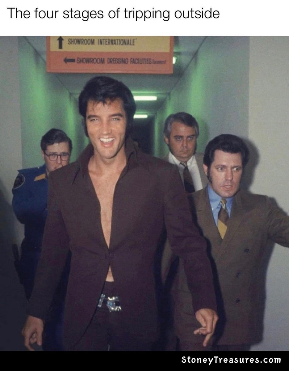 Elvis and friends demonstrate the four stages of tripping outside ...