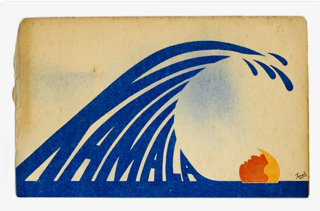 Kamala blue Wave is just clever art– Unminced Words